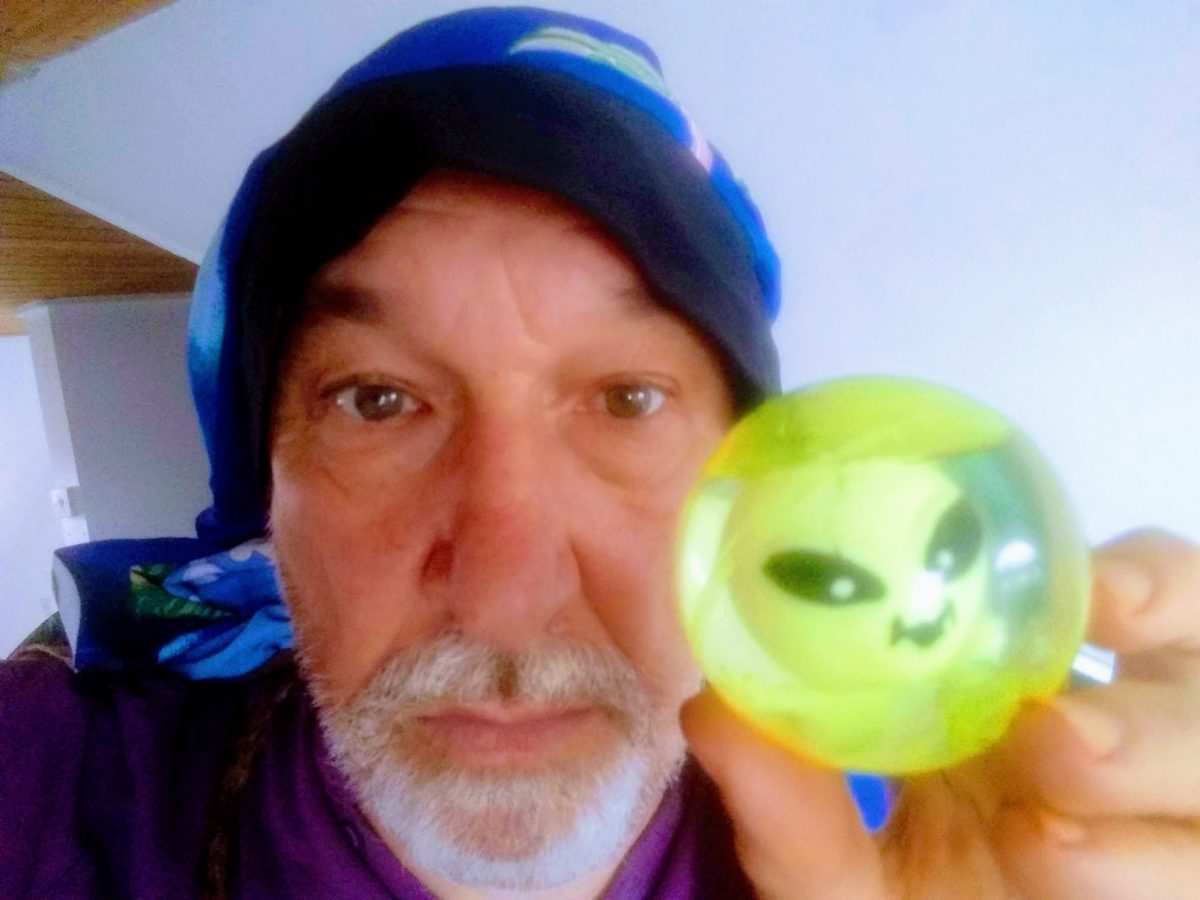 Seal – Basgallop Blog